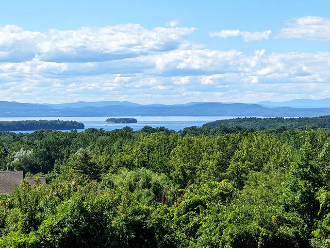 Lake Champlain stretches toward the horizon, its waters reflecting clouds that seem to be showing off for the camera.