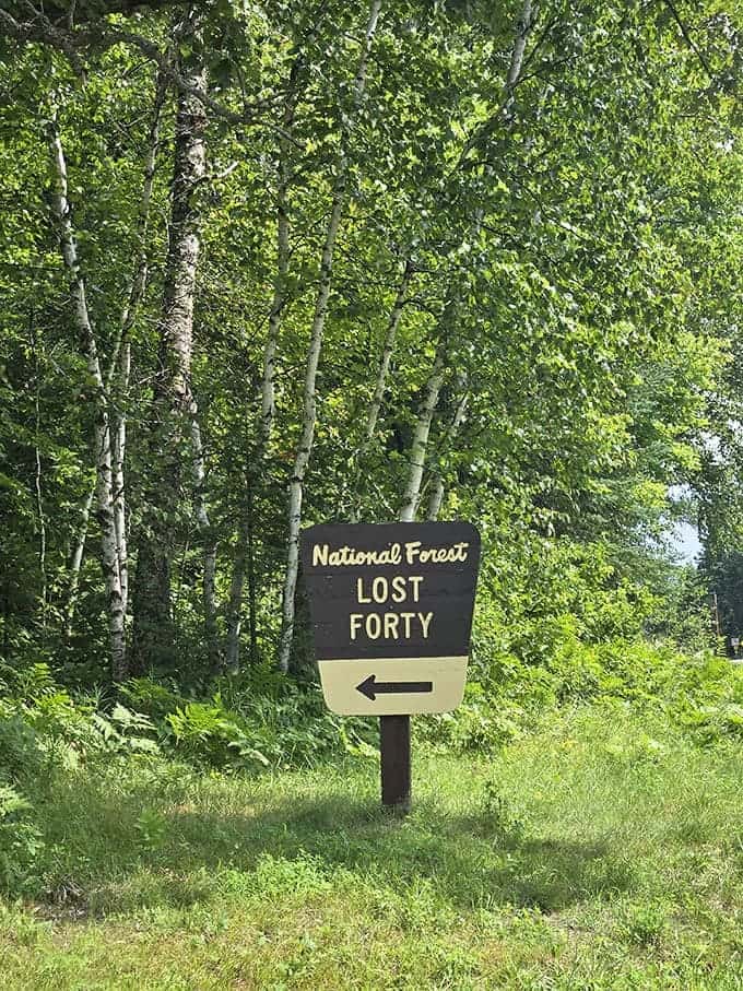 The unassuming sign marks one of Minnesota's greatest natural treasures &ndash; a living museum of what the state's forests looked like before European settlement.