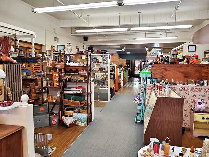 Wooden shelves groan pleasantly under the weight of yesterday's treasures, each item patiently waiting for its next admirer.