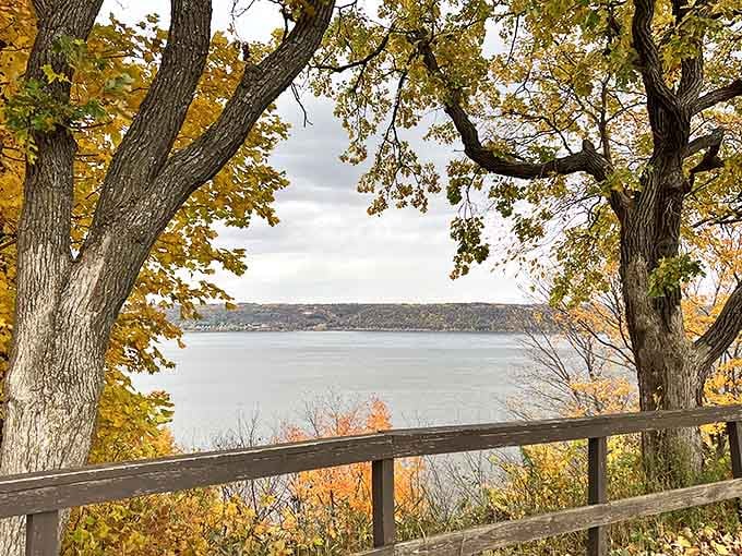 Fall's golden hour at Frontenac &ndash; where trees dress in their Sunday best and show off like they're on a catwalk.