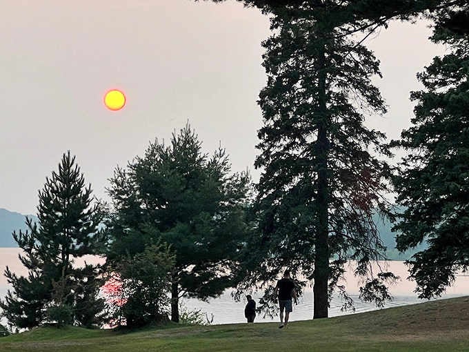 Michigan sunsets perform their magic nightly, turning Lake Michigamme into a canvas of impossible colors that make even smartphone photos look professional.