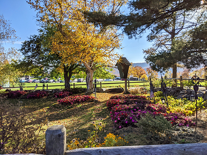 Bursts of floral fireworks frame the mountain views, proving Mother Nature is showing off again with her impeccable design skills.
