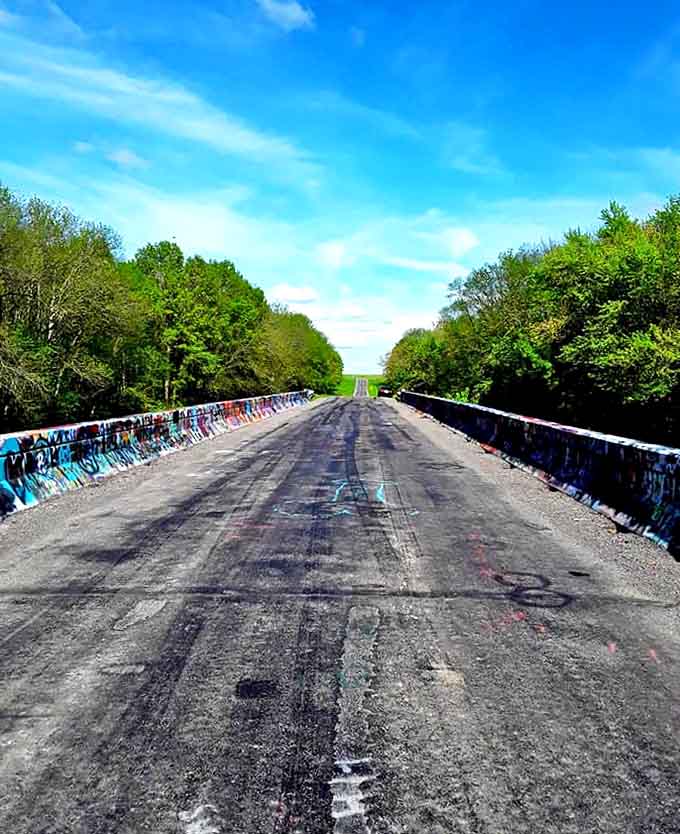 Nature frames this man-made canvas, the contrast between untamed greenery and explosive color creating a surreal corridor.