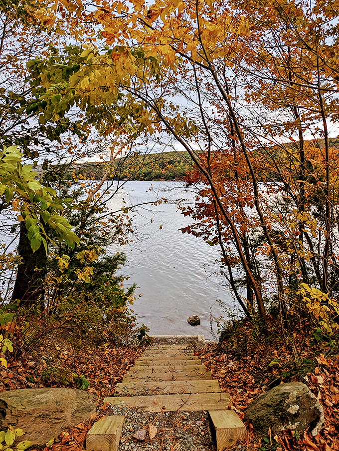 Autumn's paintbrush creates a masterpiece at Lake St. Catherine, where fiery foliage frames stone steps to tranquil waters.
