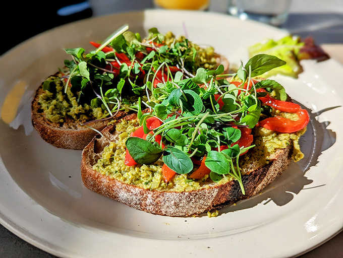 Avocado toast that explains why millennials happily sacrifice homeownership &ndash; thick house-baked bread topped with creamy avocado and garden-fresh accents.