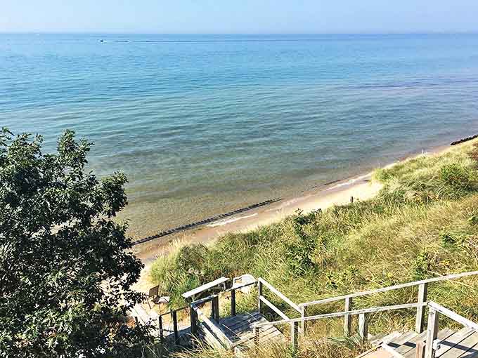 From above, the beach reveals its true scope, stretching endlessly like Michigan decided to show off a little.