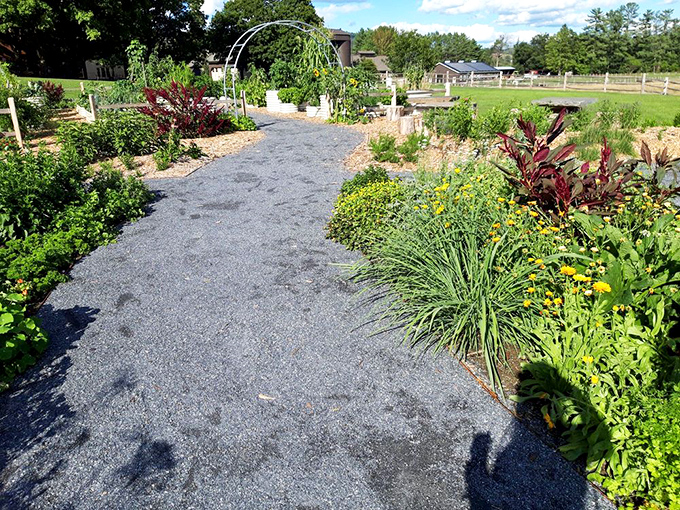 Nature's color palette explodes in this garden where marigolds and zinnias compete for attention while providing five-star dining for busy bees collecting their last summer reservations.