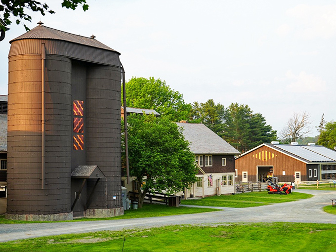 Where history moos back at you and Jersey cows demonstrate why sustainable farming never goes out of style.