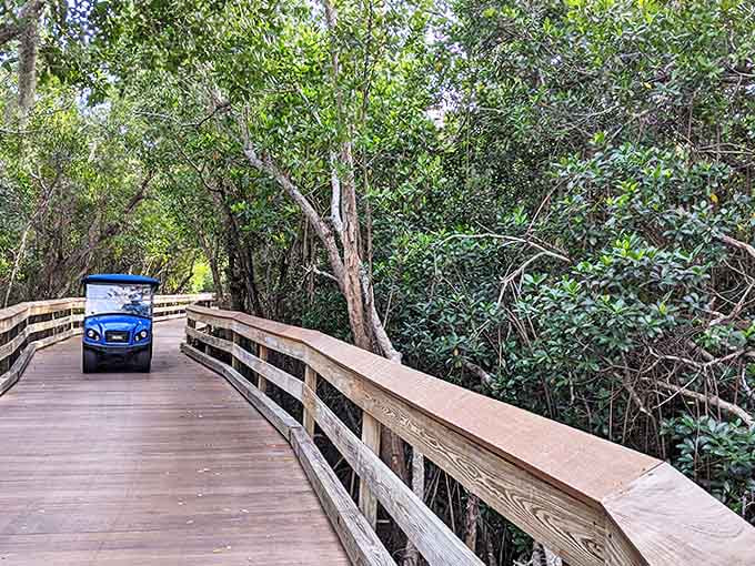 The blue utility vehicle navigates the curves with the confidence of something that's made this journey thousands of times.