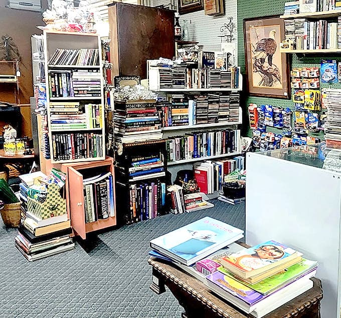 Books: Literary treasures stack floor to ceiling, a paper labyrinth where forgotten bestsellers and obscure gems wait for their next reader.