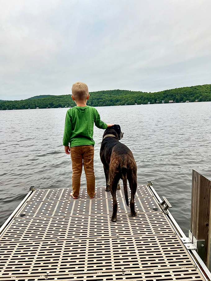 A moment of pure Vermont childhood &ndash; boy and dog contemplating the lake's vastness, creating memories that will outlast any video game.