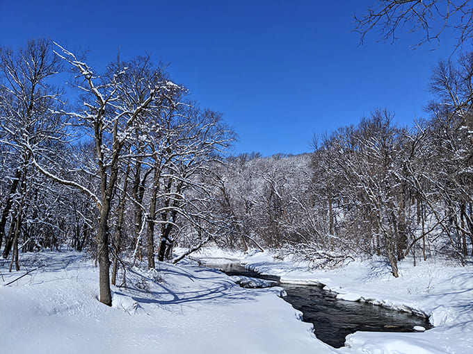 Winter transforms the park into a snow-globe scene that makes you want to grab your cross-country skis immediately.