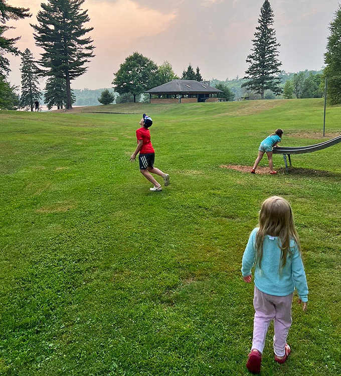 Disc golf among the pines &ndash; where "par for the course" includes dodging tree trunks and the occasional curious squirrel spectator.