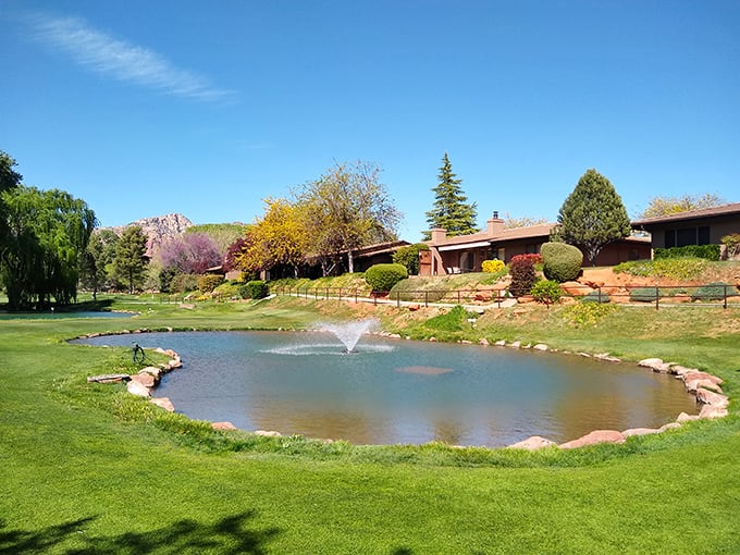 Canyon Mesa Country Club's emerald greens provide striking contrast to the red rock backdrop, challenging golfers to focus on their swing instead of the view.