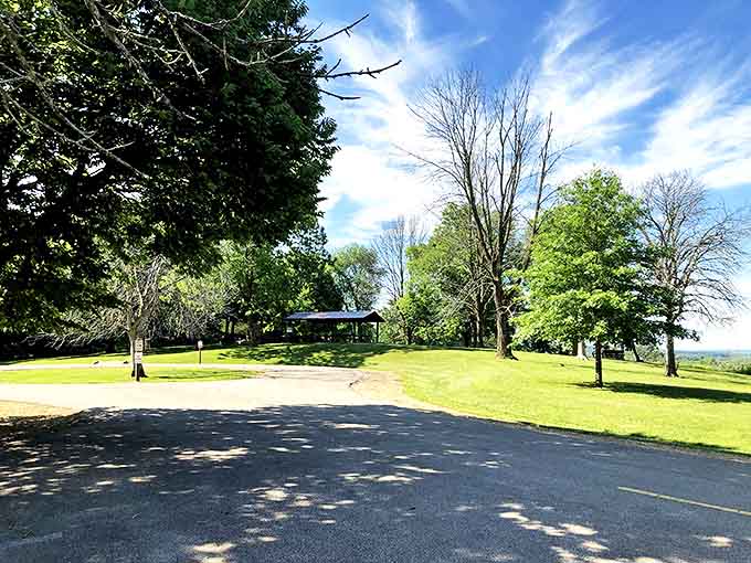 Sunny picnic areas with sweeping views turn a simple sandwich into a memorable meal with the best dining room in Illinois.