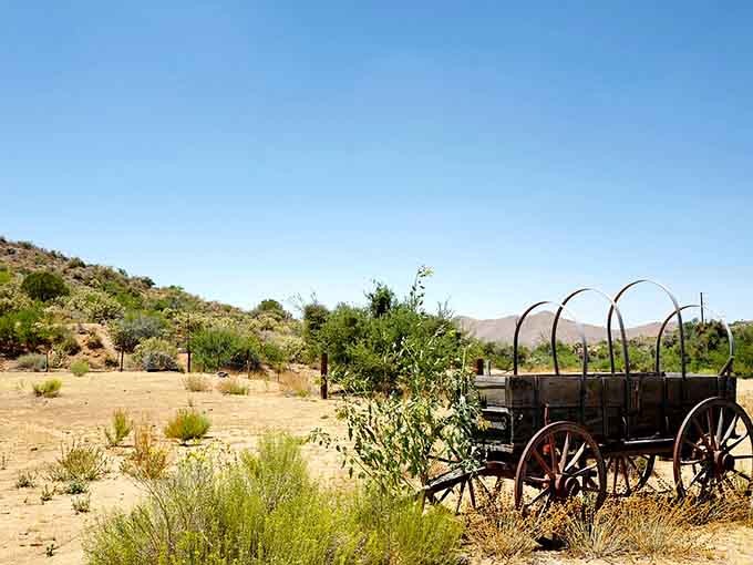 This vintage wagon sits in the desert like a retired cowboy, its traveling days behind it but its stories still worth telling.