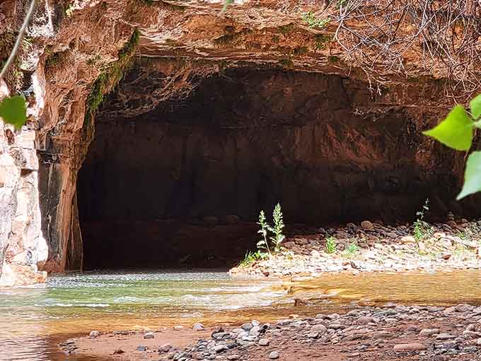 Nature's version of a secret hideout, minus the "No Girls Allowed" sign and plus significantly better acoustics.