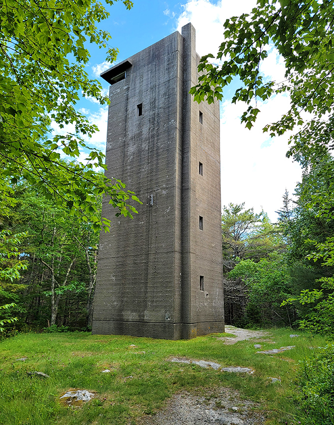 The stark fire control tower rises like a concrete sentinel above the treeline, its observation windows still watching for threats that never came.