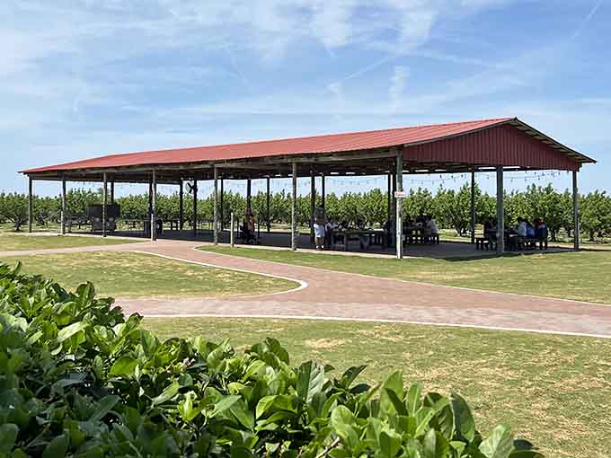 The covered dining pavilion offers respite from the sun while families share farm-fresh treasures and compare their U-pick hauls.