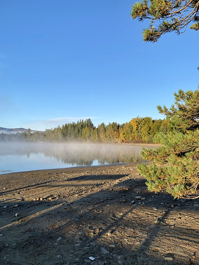 Dawn breaks over Cupsuptic Lake, painting the water with golden light while wisps of fog create nature's own special effects.