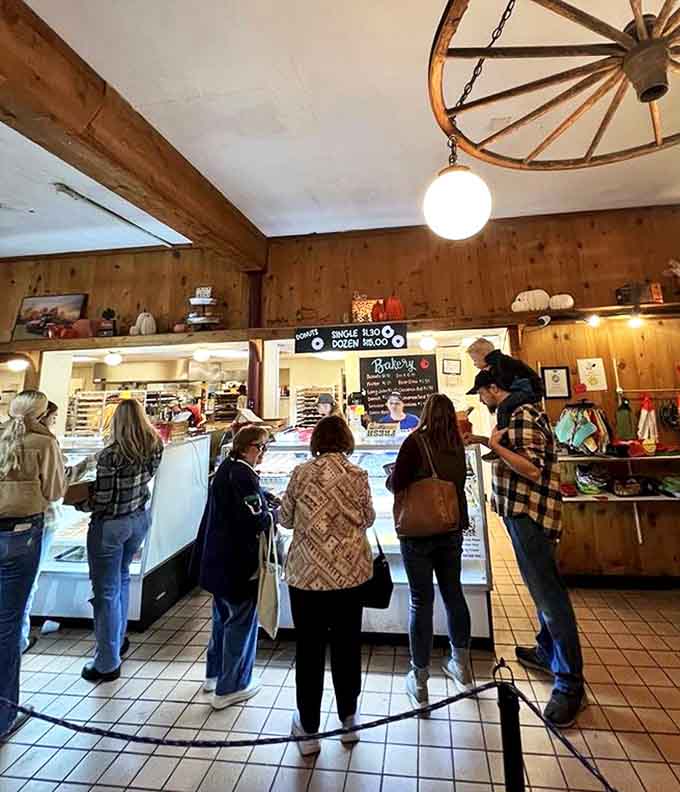 The bakery counter line – where strangers become friends united by a common mission: securing fresh donuts before they sell out.