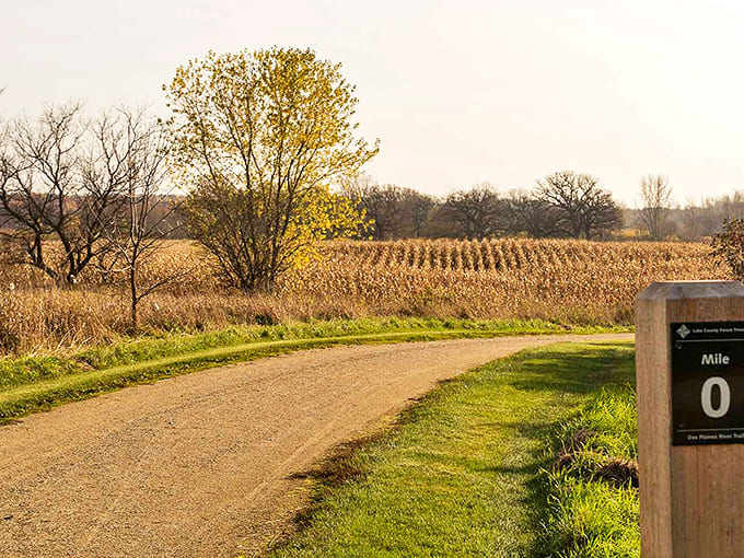 Des Plaines Conservation Area's trails wind through landscapes where nature still calls the shots and serenity is guaranteed.