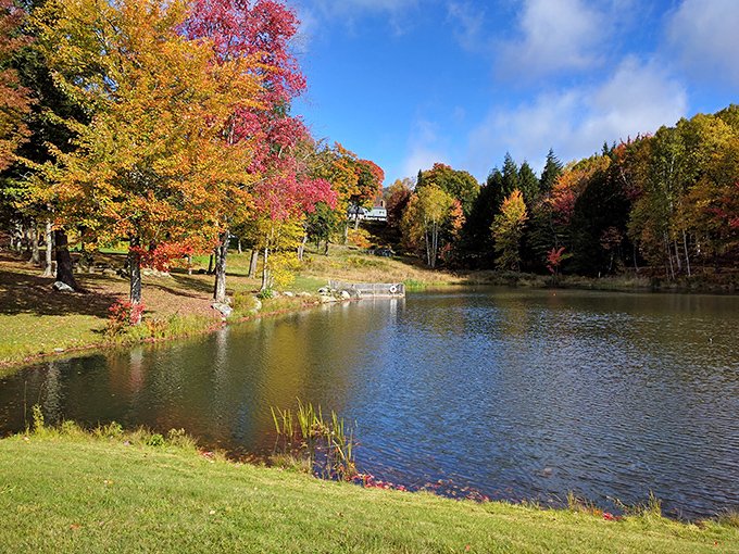Fall foliage reflects in still waters near Stowe, creating a mirror image of Vermont's legendary autumn color display.