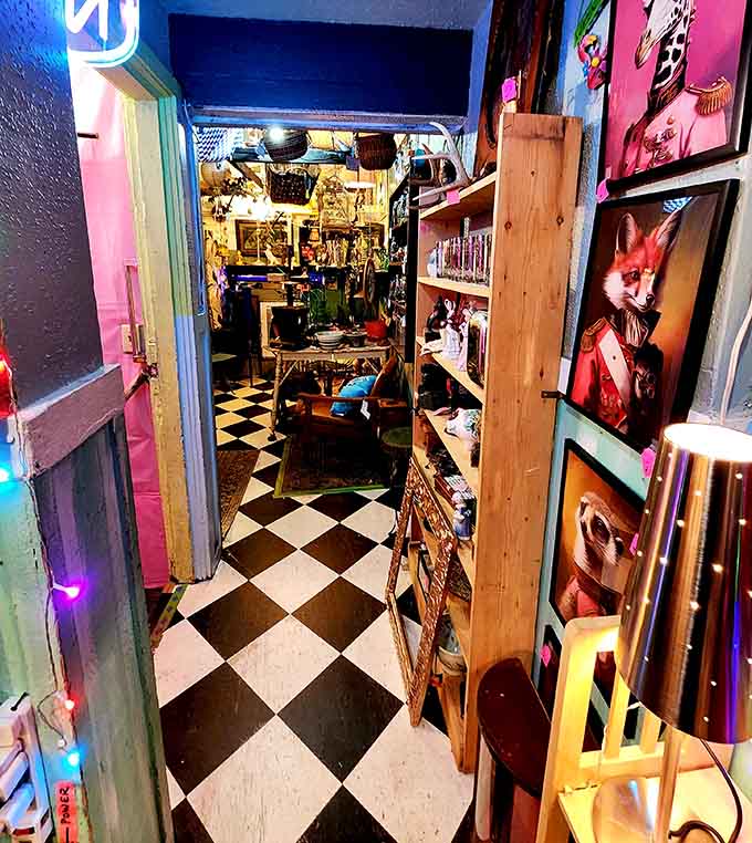 Narrow aisles packed with treasures turn shopping into an adventure where every turn reveals something you didn't know you desperately needed.