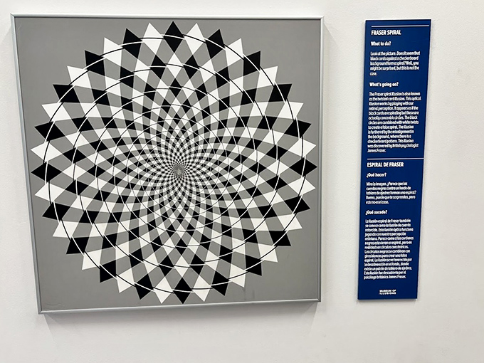 Those circles aren't actually spiraling – the Fraser Spiral illusion demonstrates how patterns can trick our brains into seeing movement where none exists.