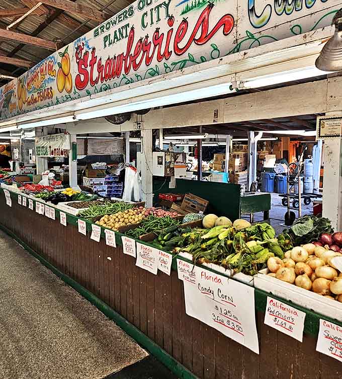 The Plant City strawberry stand &ndash; where produce is displayed with the reverence usually reserved for fine jewelry.
