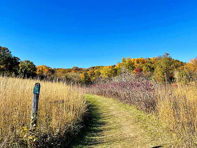 A path through prairie grasses beckons under the perfect Minnesota sky. Your office cubicle seems very far away now, doesn't it?