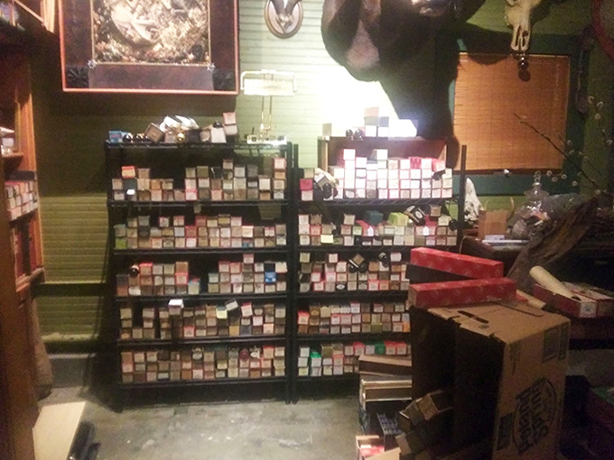 Thousands of cataloged treasures await discovery by curious visitors willing to venture beyond conventional museum experiences.