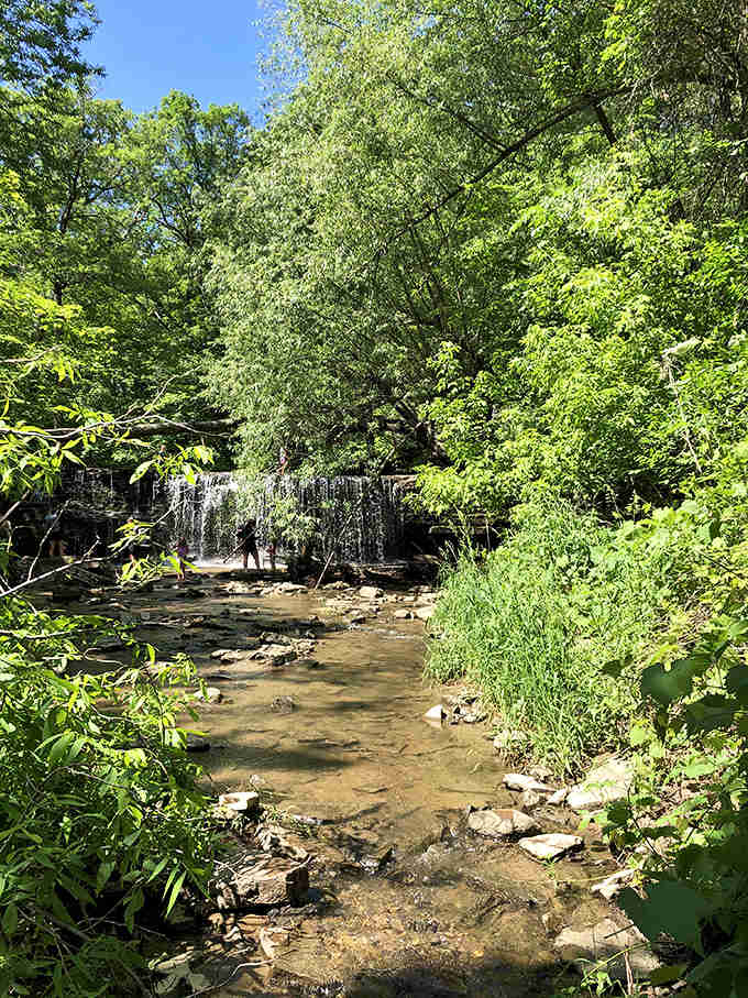 Summer reveals the falls in their gentle glory, inviting visitors to wade in the refreshing pools below.