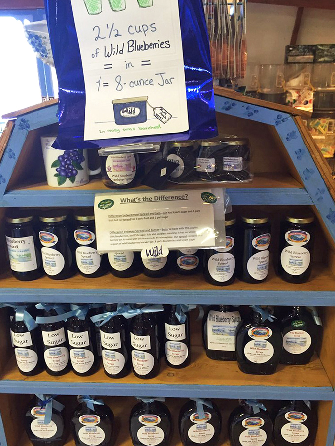 Inside the gift shop, shelves lined with jams, jellies and syrups let visitors take the wild blueberry experience home.