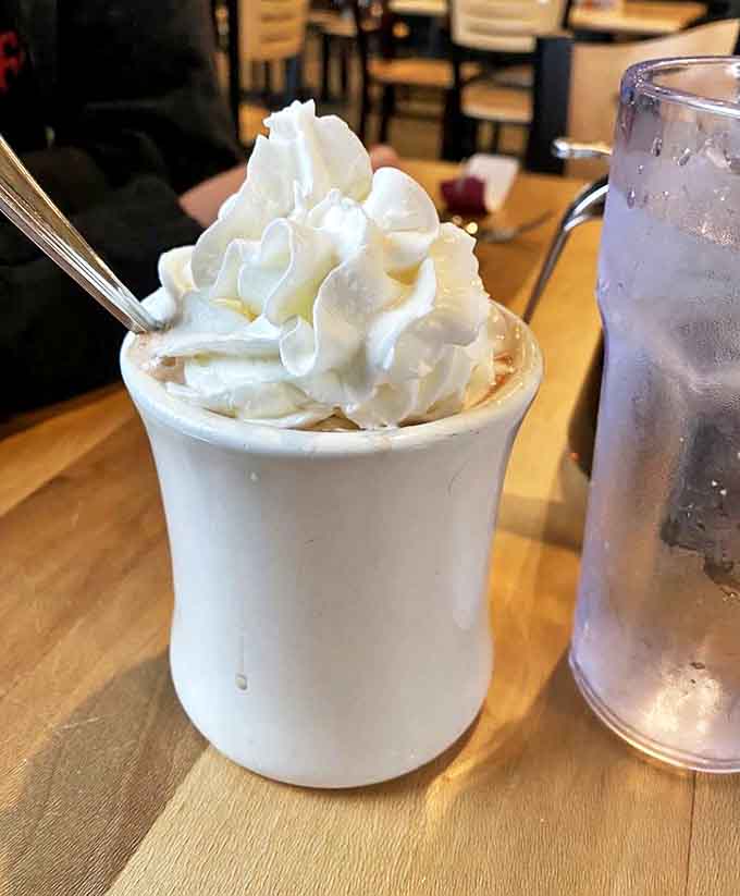Hot cocoa topped with a mountain of whipped cream that defies gravity, making you feel like a kid again regardless of your actual age.
