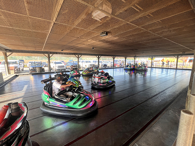 Bumper cars with attitude – these colorful chariots of controlled chaos promise laughter with every collision.