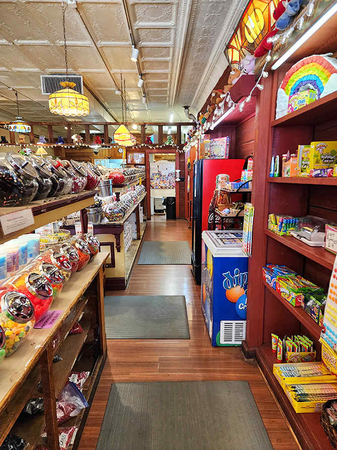 Another angle of the interior reveals more treasures, vintage equipment, and enough blueberry memorabilia to make you wonder if you've entered a delicious time capsule.