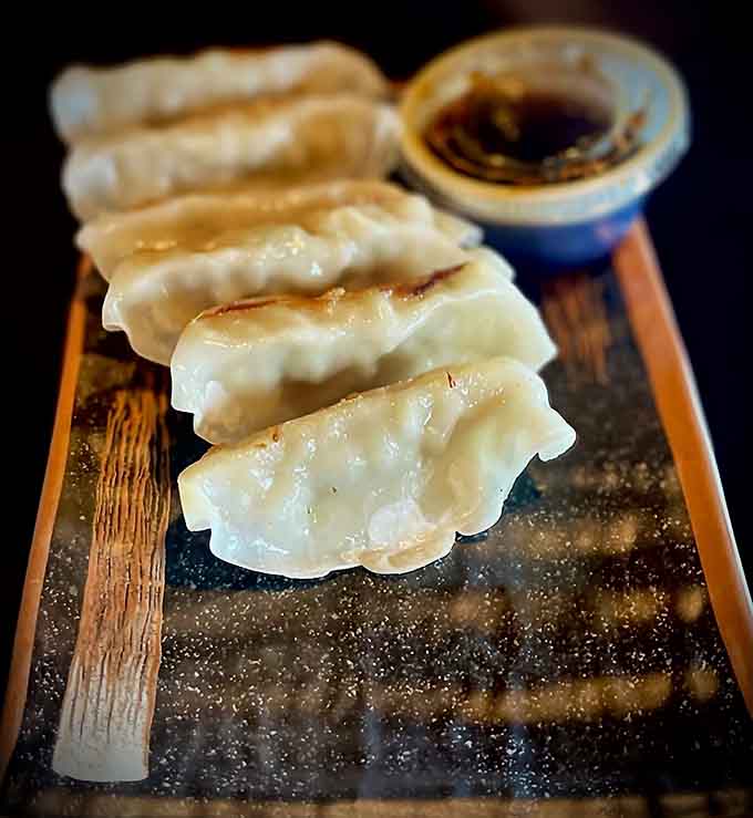Golden-bottomed gyoza lined up like little flavor bombs, just waiting to explode with juicy goodness in your mouth.