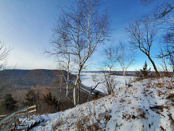 Winter transforms familiar landscapes into something otherworldly. Those birches against snow? Pure poetry in white and silver.