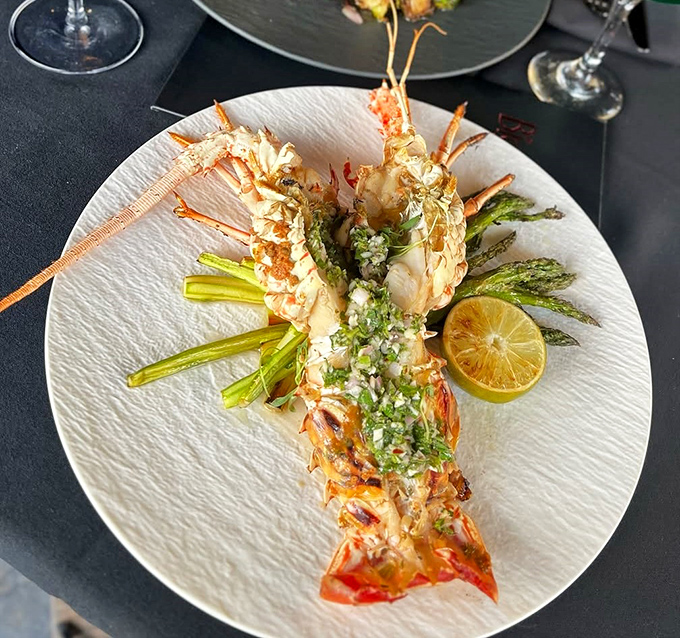 Half a lobster transformed into a vessel of decadence, filled with brandy-kissed cream sauce and crowned with golden cheese – thermidor perfection!