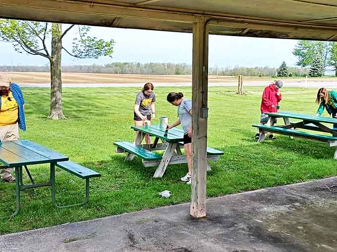 Community volunteers transform ordinary picnic tables into works of practical art, proving that in small towns, many hands make light work.