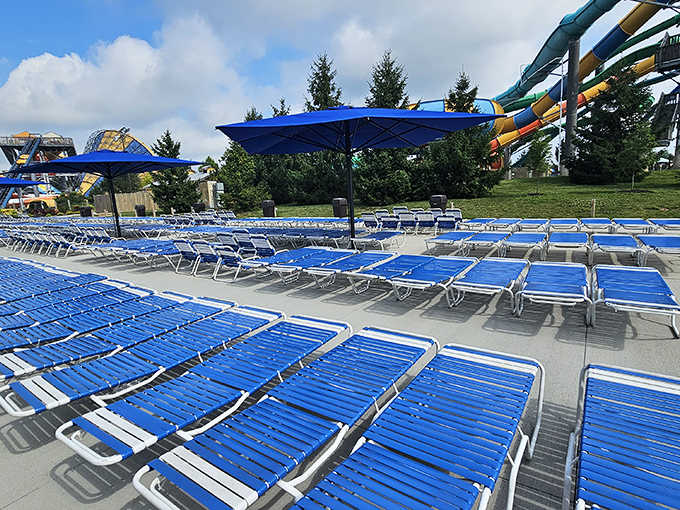 Rows of blue loungers await the morning rush &ndash; by noon, they'll become the most coveted real estate in all of Ohio.