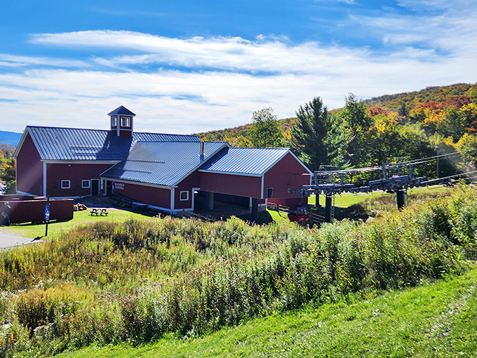 Mansfield's gondola carries summer visitors to breathtaking summit views that stretch all the way to Lake Champlain on clear days.
