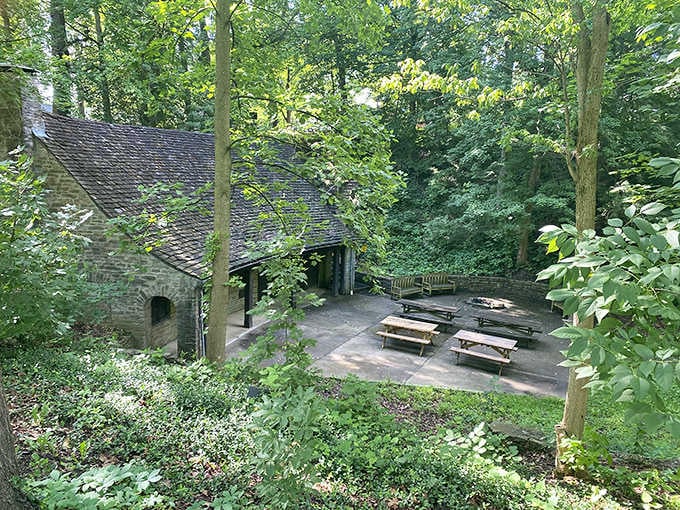 Rustic picnic tables nestled in woodland setting – nature's dining room where ants are uninvited but persistent guests.