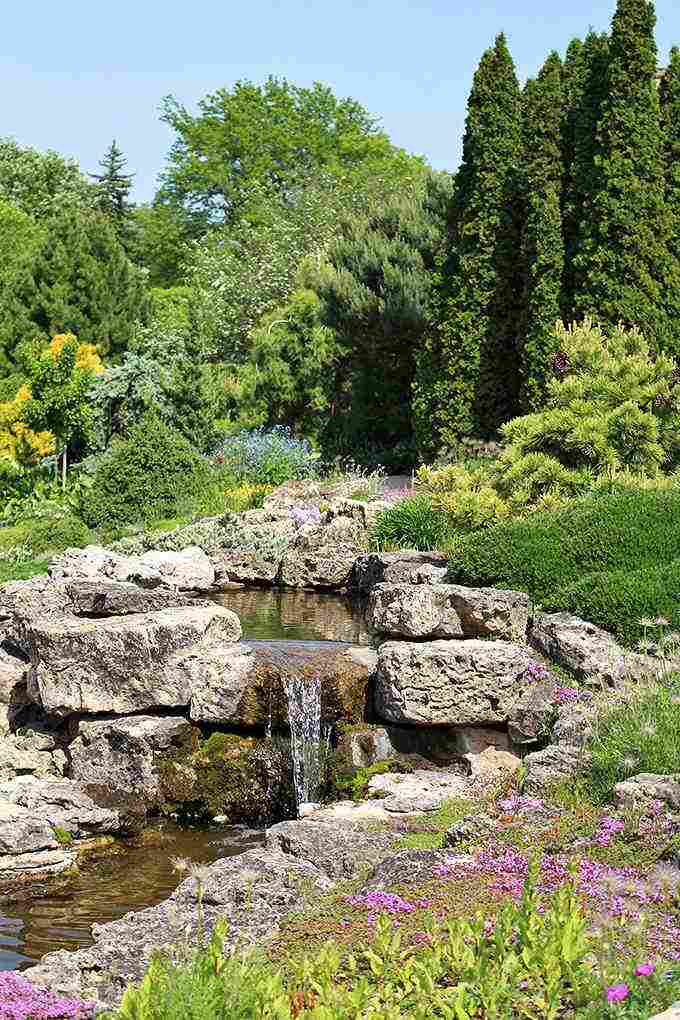 Water music: this mini waterfall creates nature's soundtrack, the perfect background noise for garden contemplation.