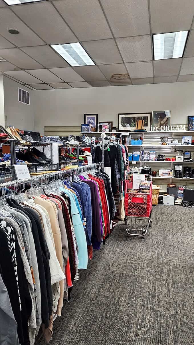 Color-coded organization transforms the typical thrift store chaos into a shopper's paradise where finding your size is actually possible.
