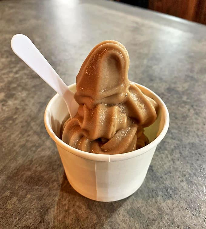 That mocha soft-serve looks like it's doing a little dance in the cup, which is appropriate given the fun happening all around.