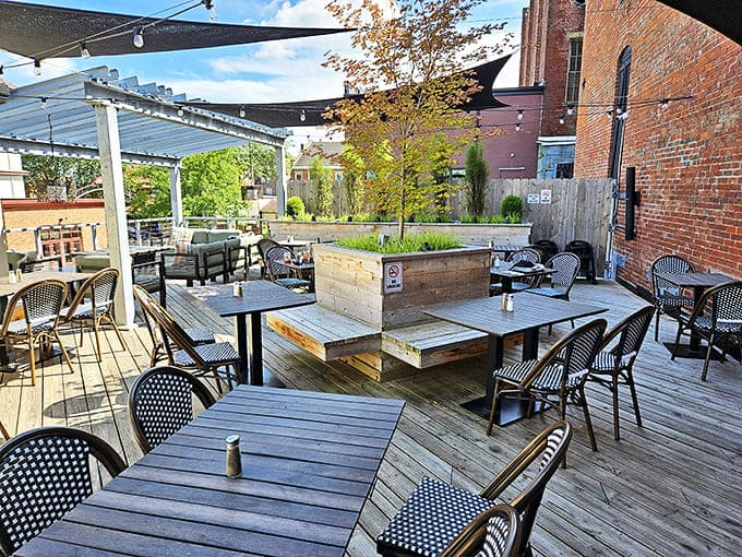 Dappled sunlight plays across wooden decking where conversations flow as freely as the craft beers in this urban oasis.