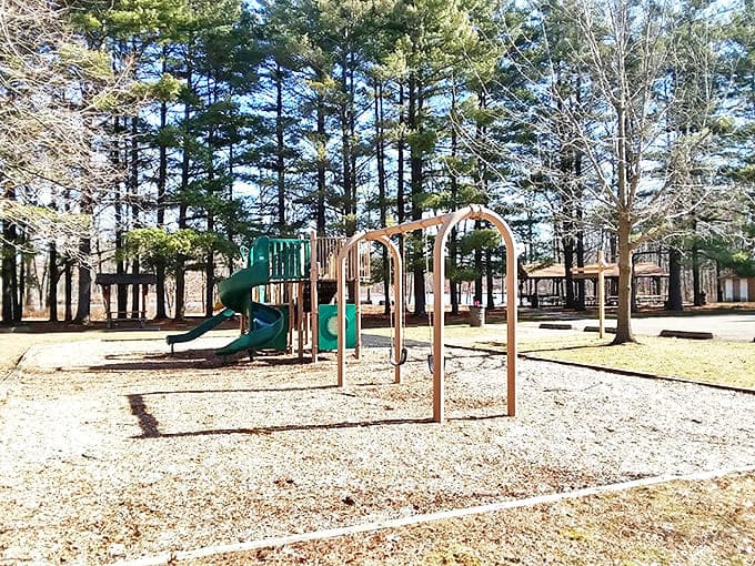 A playground where kids can burn off energy while parents secretly wish they could still fit down that slide.