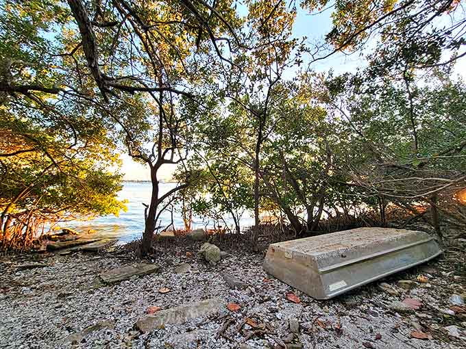 This rocky shoreline tells Florida's geological story, where each weathered stone and abandoned shell holds centuries of coastal secrets.